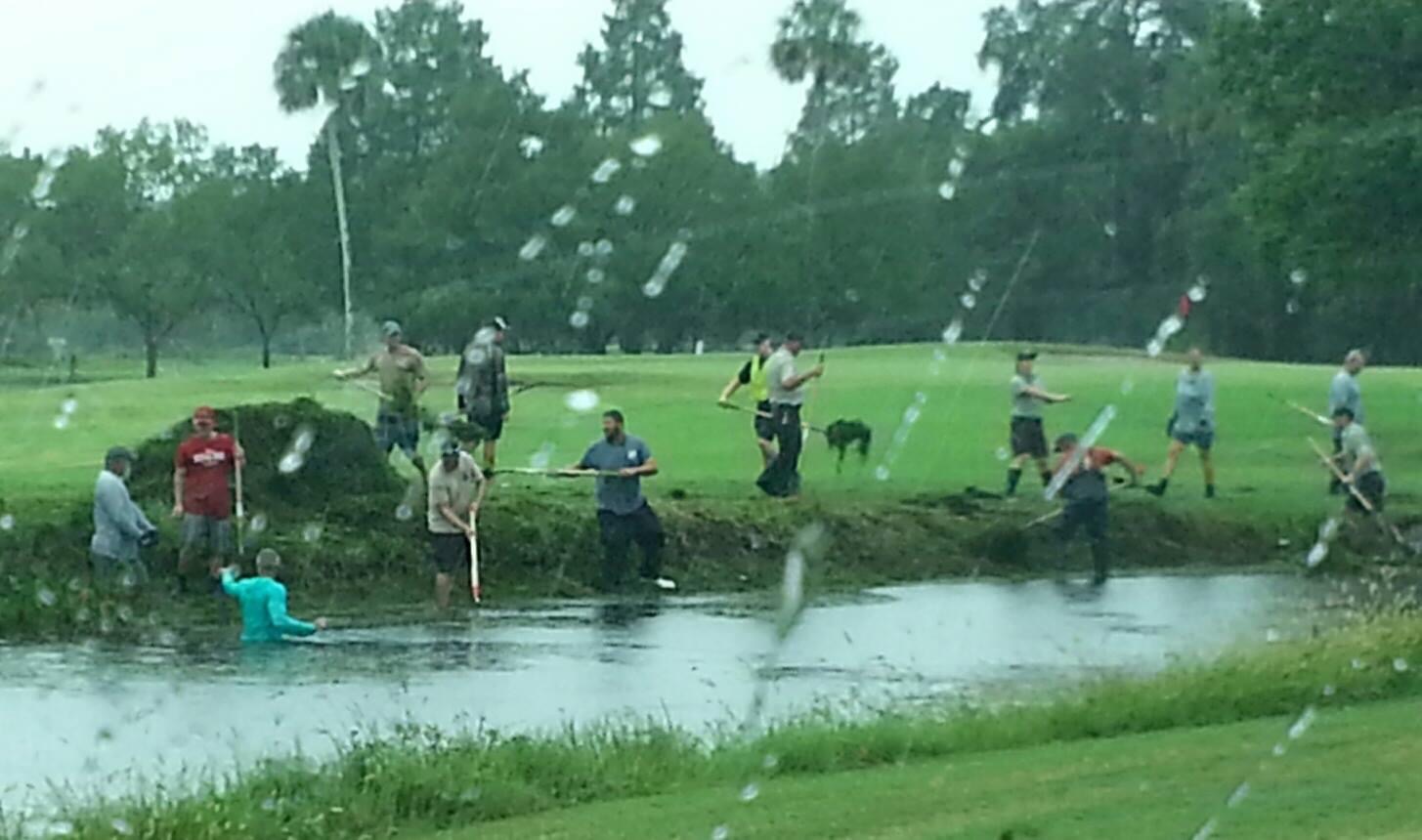 Photo Gallery – One Rake At A Time