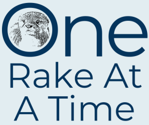 One Rake At A Time – Rainbow River Restoration Project